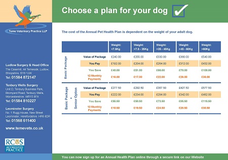 Annual Health Plans | Teme Veterinary Practice LLP