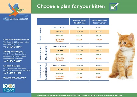 Annual Health Plans | Teme Veterinary Practice LLP