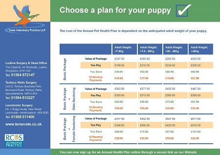 Annual Health Plans | Teme Veterinary Practice LLP